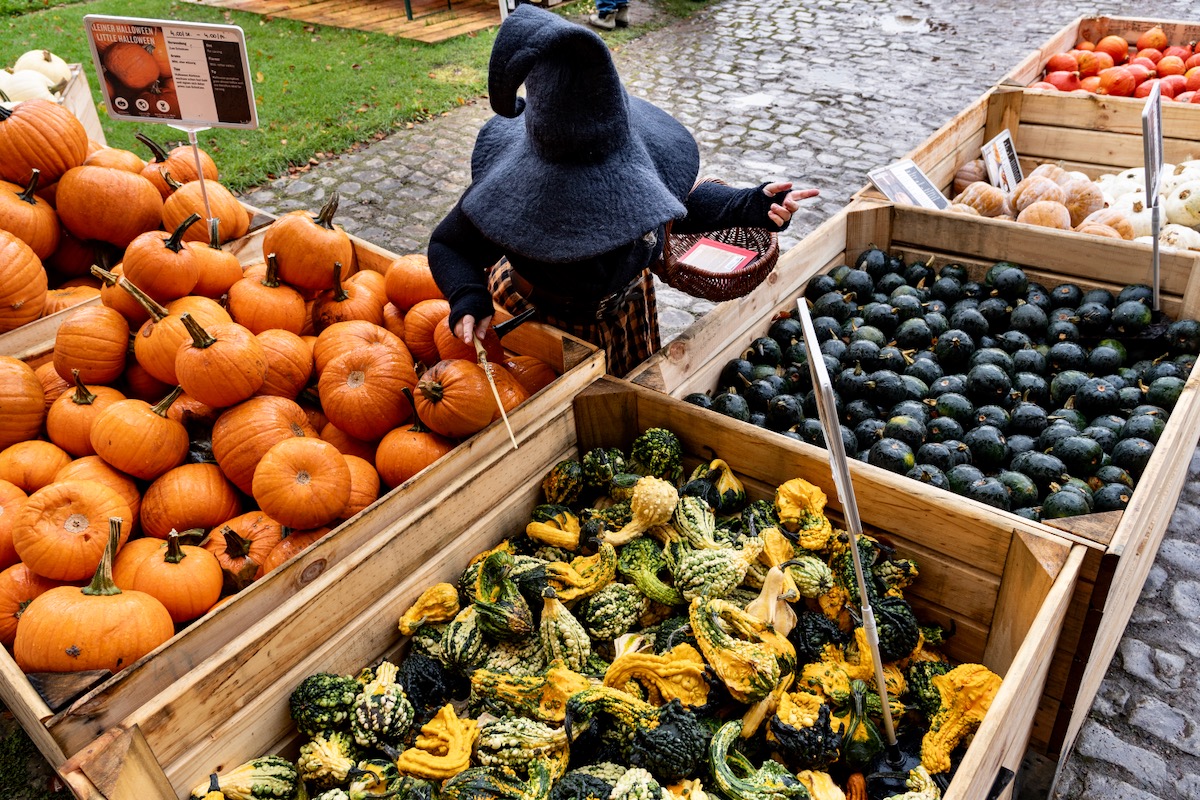 [BRUXELLES] Pumpkimania au château de Grand-Bigard | Le Rose et le Noir
